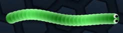 Green Gradient Skin | slither.io Wiki | Fandom
