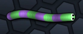Green/Purple Skin | slither.io Wiki | Fandom