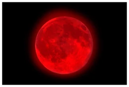 Red Moon | Ophidia Wiki | Fandom