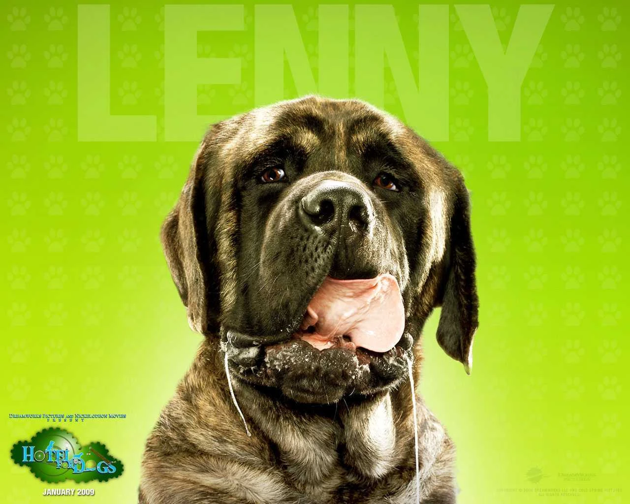 Lenny the Mastiff and Bruce (Hotel for Dogs) | Slobber Central Wiki ...