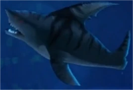 Sharks | SlugTerra Wiki | Fandom