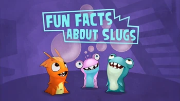 Fun Facts About Slugs | SlugTerra Wiki | Fandom