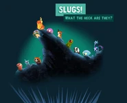 Slugs | SlugTerra Wiki | Fandom