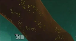 Quiet Lawn Cavern | SlugTerra Wiki | Fandom