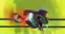 Vamparo | SlugTerra Wiki | Fandom