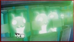 Shadow Clan | SlugTerra Wiki | Fandom