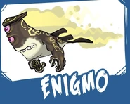 Enigmo | SlugTerra Wiki | Fandom