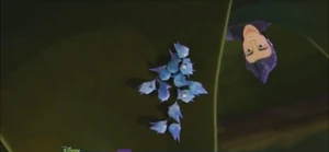 Frostcrawler | SlugTerra Wiki | Fandom