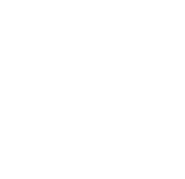 New World Interactive | Sly Army Wiki | Fandom