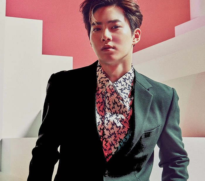 Su Ho | Wiki SM Entertainment | Fandom