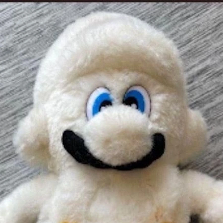 mold mario fan | SM64 Machinima Wiki | Fandom
