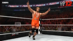 Michael Cole Wwf