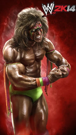 Ultimate Warrior Art