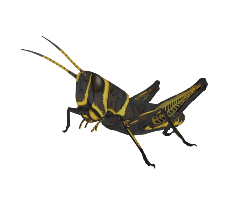 Lubber | Smalland: Survive the Wilds Wiki | Fandom