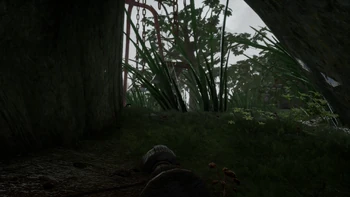 White Rook (Node) | Smalland: Survive the Wilds Wiki | Fandom