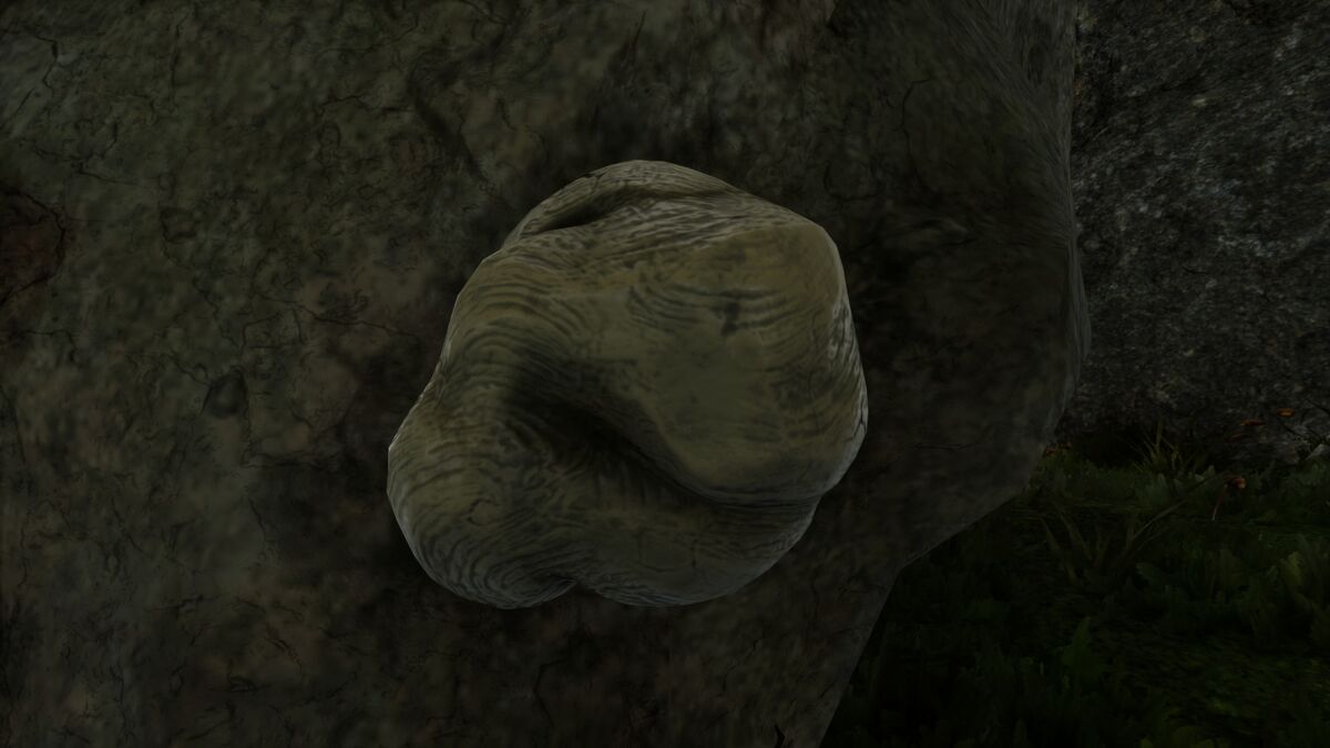 Clay Node Smalland Survive The Wilds Wiki Fandom