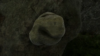 Clay (Node) | Smalland: Survive the Wilds Wiki | Fandom