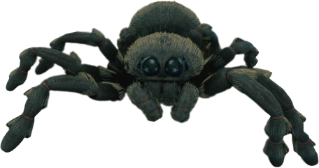 Jumping Spider | Smalland: Survive the Wilds Wiki | Fandom