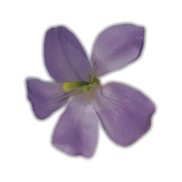 Flower B | Smalland: Survive the Wilds Wiki | Fandom