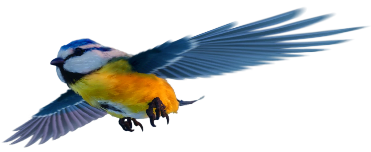 Blue Tit | Smalland: Survive the Wilds Wiki | Fandom