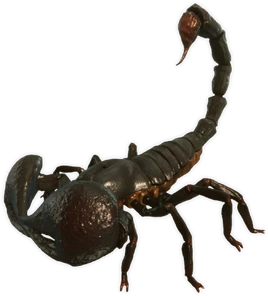 Scorpion | Smalland: Survive the Wilds Wiki | Fandom