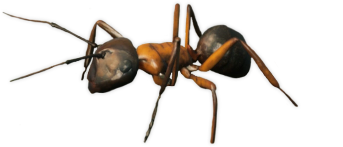 Carpenter Ant Worker | Smalland: Survive the Wilds Wiki | Fandom