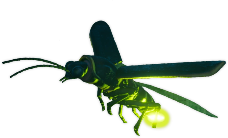 Firefly | Smalland: Survive the Wilds Wiki | Fandom