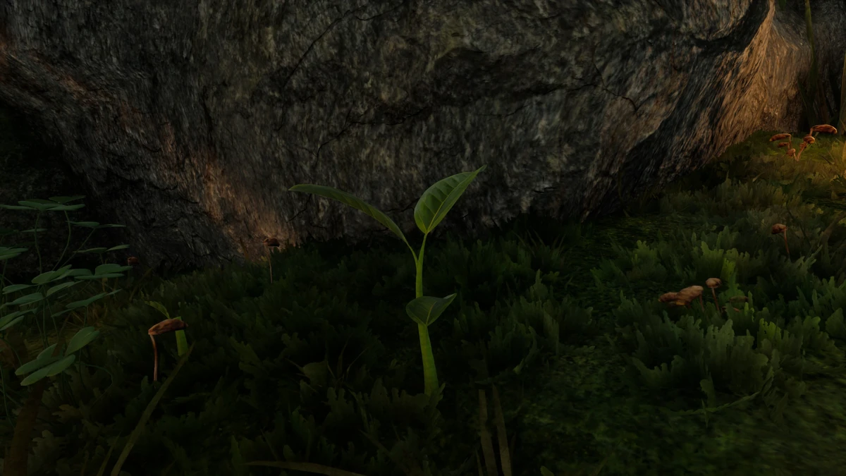 Sprout | Smalland: Survive the Wilds Wiki | Fandom