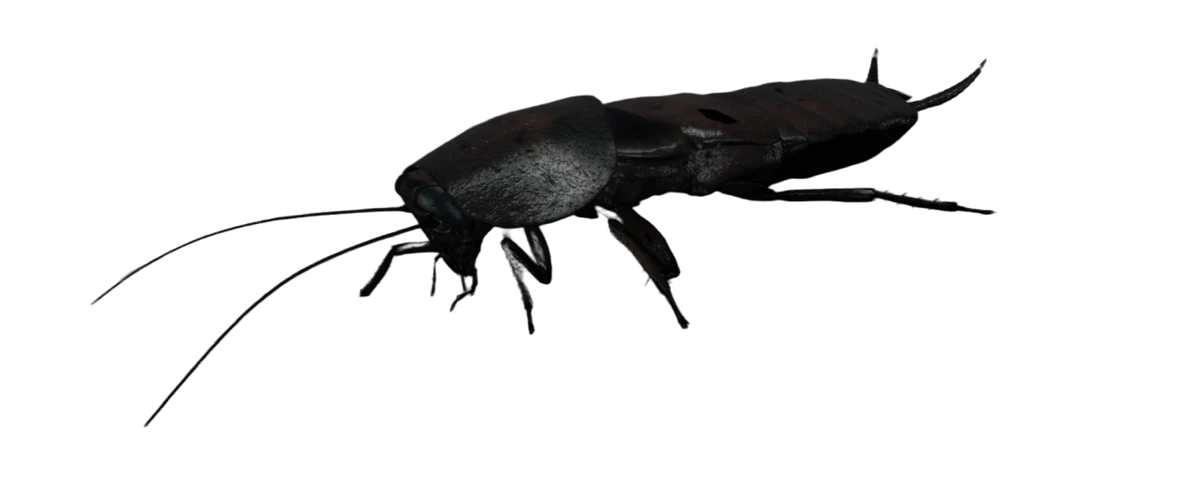 Waterbug | Smalland: Survive the Wilds Wiki | Fandom