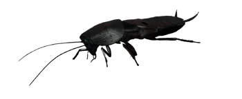 Waterbug | Smalland: Survive the Wilds Wiki | Fandom