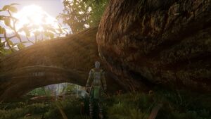 Smalland: Survive the Wilds Wiki | Fandom