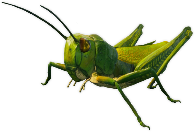 Grasshopper | Smalland: Survive the Wilds Wiki | Fandom