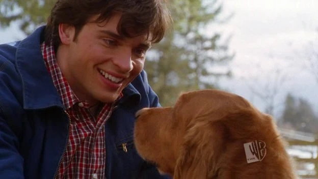 Krypto (Episode) - SirJeffCena | Smallville Fanon Wiki | Fandom