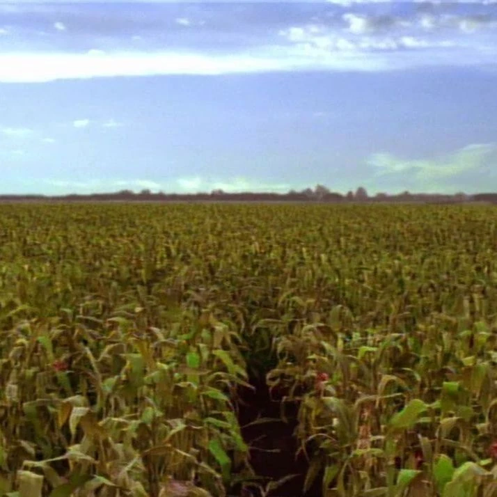 Riley Field - SirJeffCena | Smallville Fanon Wiki | Fandom