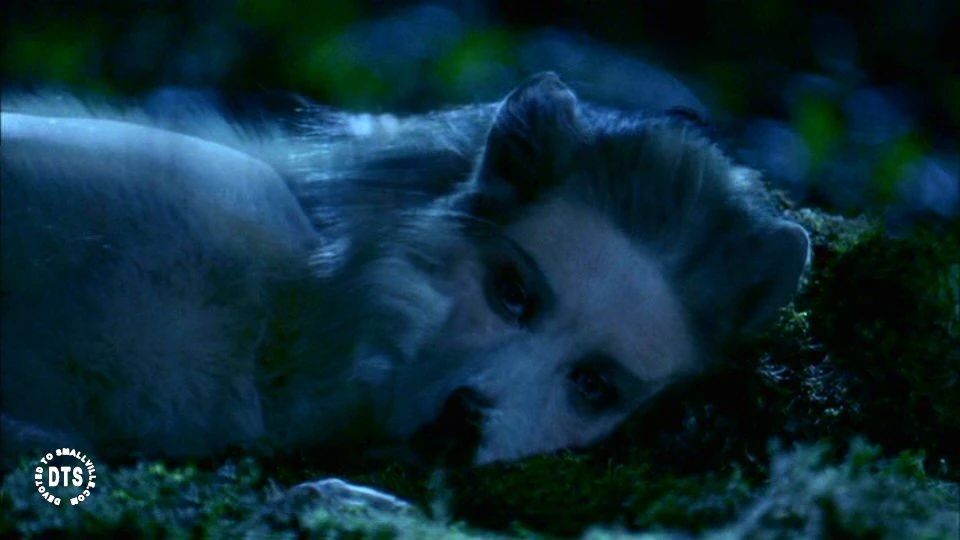 Kawatche (Earth 1) - SirJeffCena | Smallville Fanon Wiki | Fandom