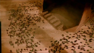 Lillian Luthor | Smallville Legendary Fanon Wiki | Fandom