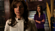 Tess Mercer/Season Eight | Smallville Wiki | Fandom