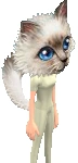 Ben the Birman Cat | SmallWorlds Wiki | Fandom
