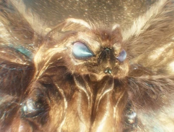 Mothra/RandomStrikes8481 | Smash Moveset Fanon Wiki | Fandom