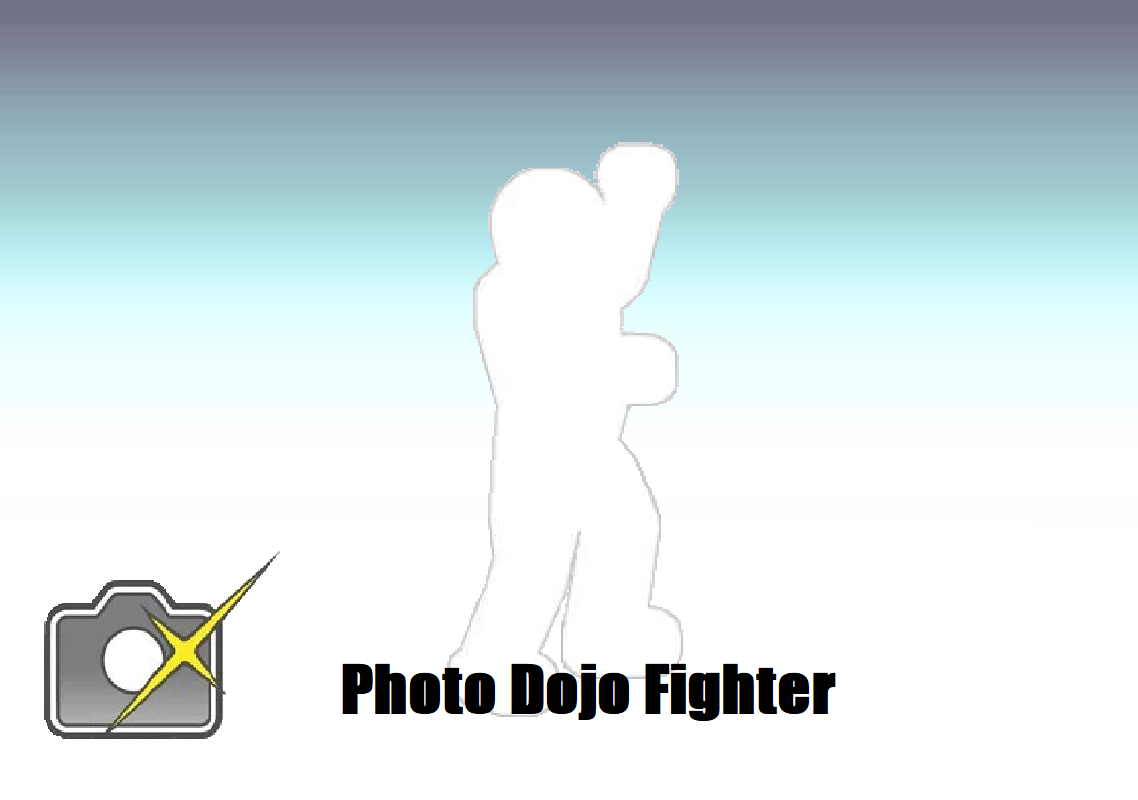 Photo Dojo Fighter | SmashBrosLawlLove Wiki | Fandom