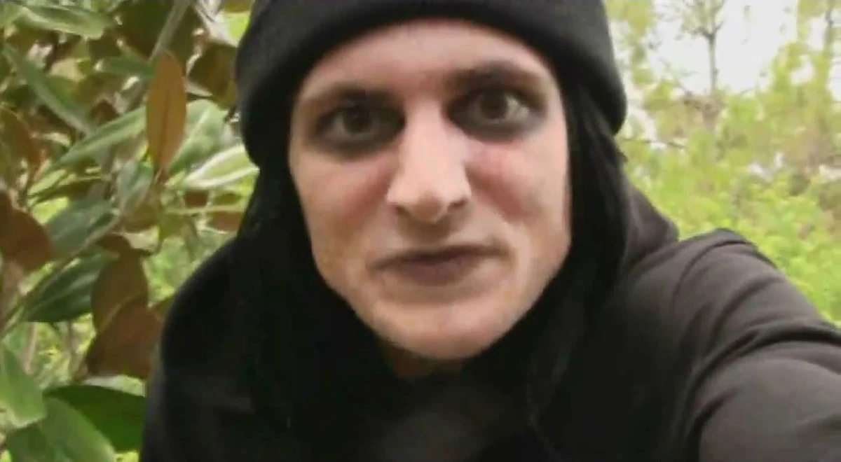 AlphaWerewolff | World of Smash Bros Lawl Wiki | Fandom