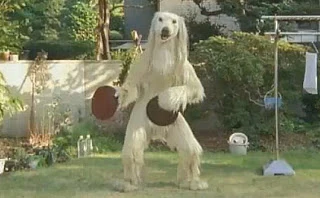 Consome Panchi | World of Smash Bros Lawl Wiki | Fandom