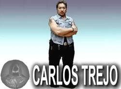 Carlos Trejo | World of Smash Bros Lawl Wiki | Fandom