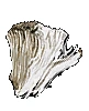 Elizabeth's Mushroom | Smashtopia Wiki | Fandom