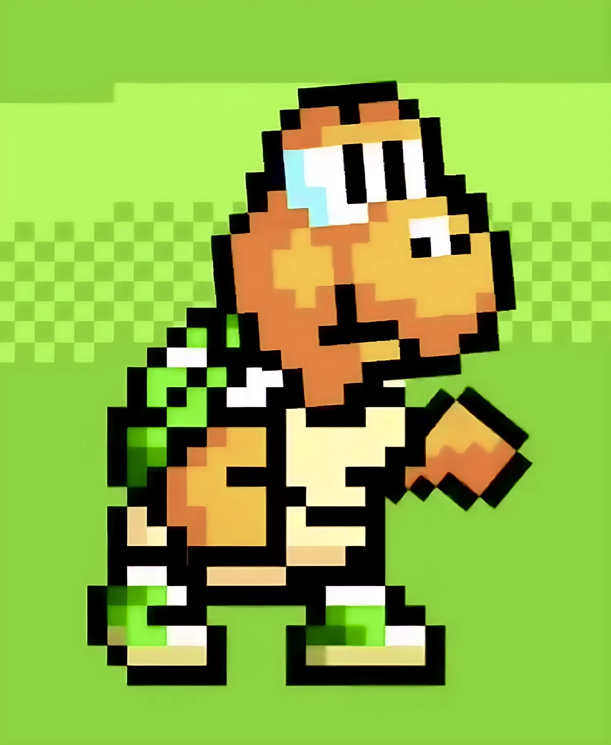 Hal | Super Mario Bros: Heroes of the Stars Wiki | Fandom