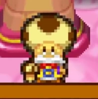 Toadsworth | Super Mario Bros. Z Wiki | Fandom