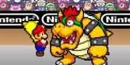 Super Mario Bros. Z (2006 Series) | Super Mario Bros. Z Wiki | Fandom
