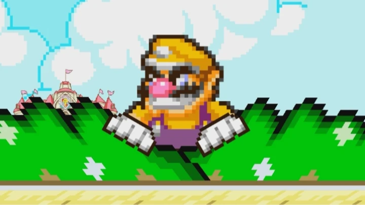Wario | Super Mario Bros. Z Wiki | Fandom