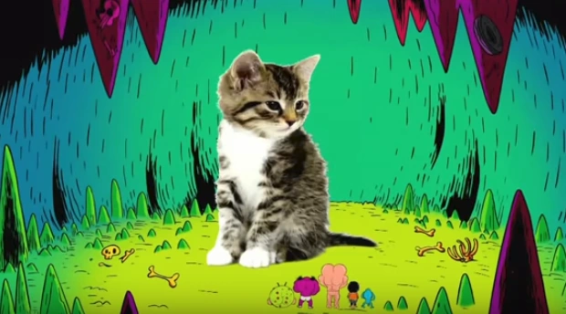 Adorable Kitten | Secret Mountain Fort Awesome Wiki | Fandom