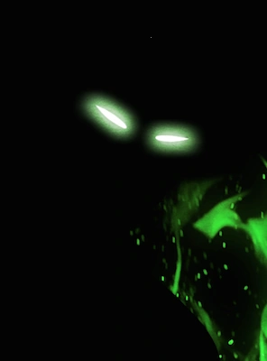 The Master of Nothing | Smifstuck Wikia | Fandom